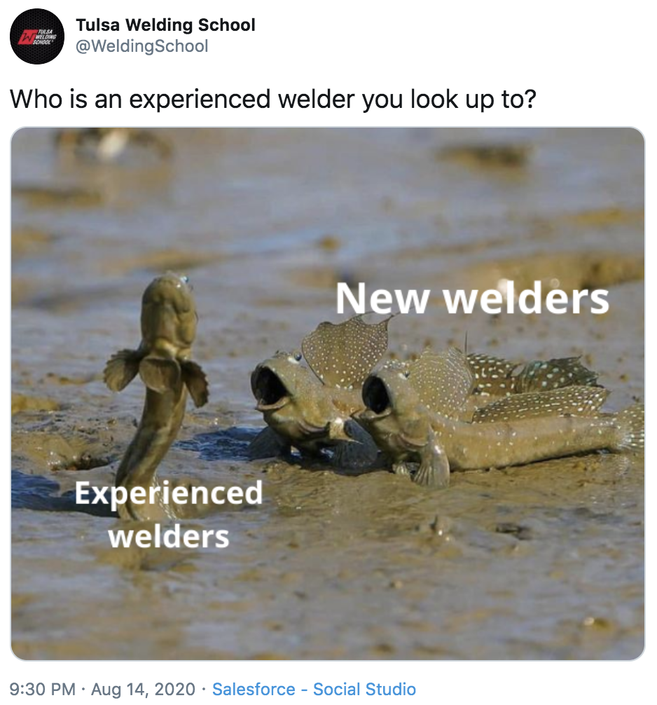Welding | Impressed Mudskippers | Know Your Meme