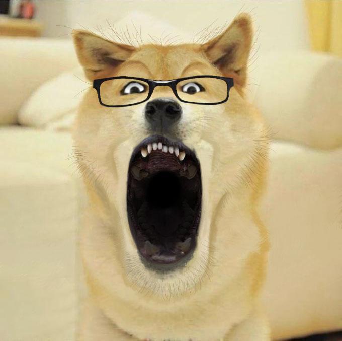 dog soyjak | Soy Boy Face / Soyjak | Know Your Meme