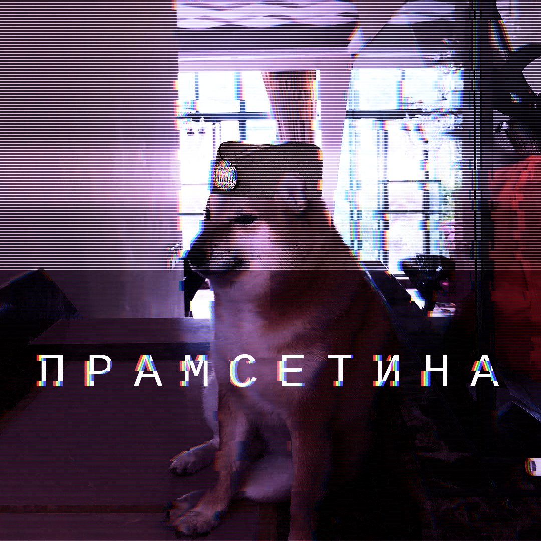 П Р А М С Е Т И Н А | Cheems | Know Your Meme