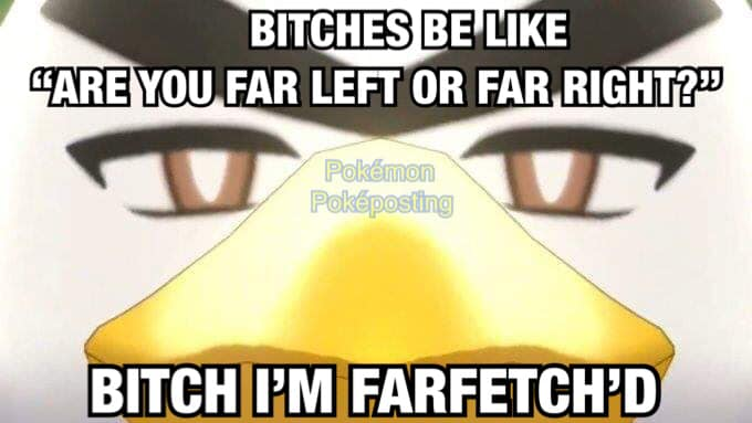 Bitch I'm Farfetch'd | Are You Far-Left or Far-Right | Know Your Meme