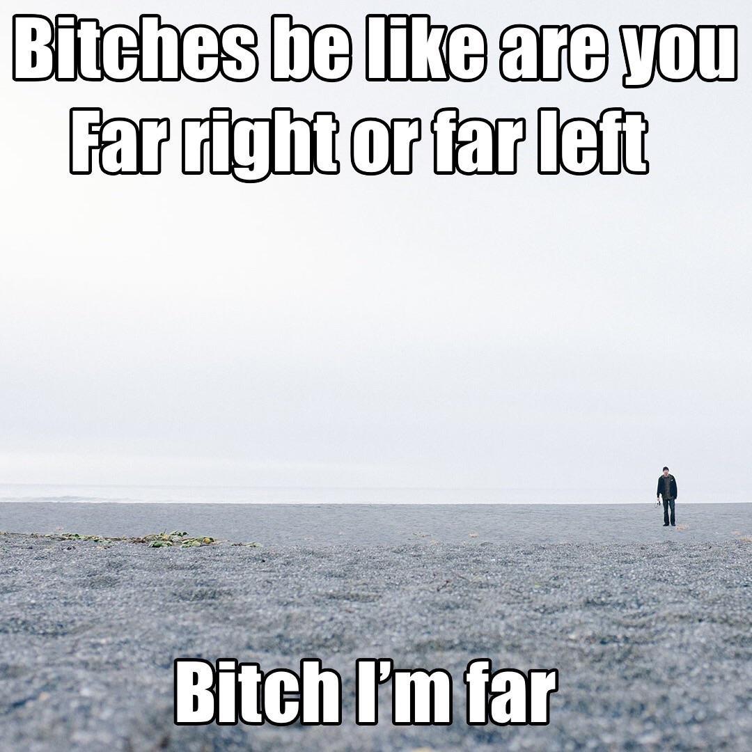 Bitch I'm Far | Are You Far-Left or Far-Right | Know Your Meme