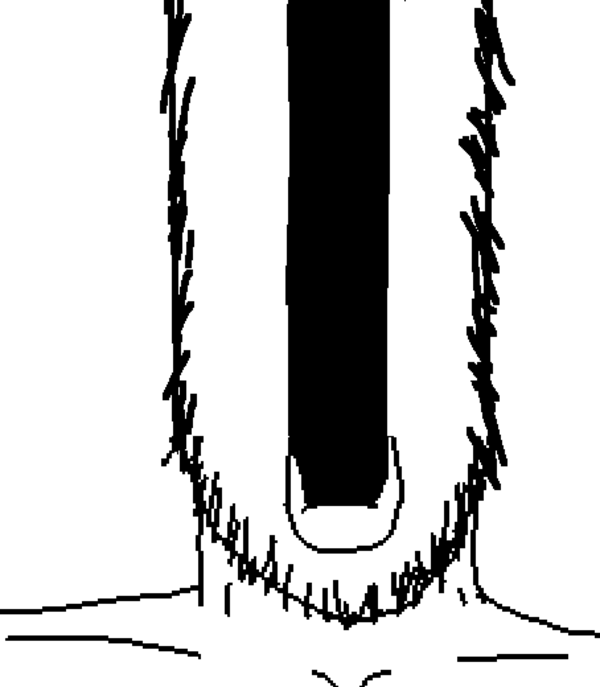 bottom mouth soy | Soy Boy Face / Soyjak | Know Your Meme