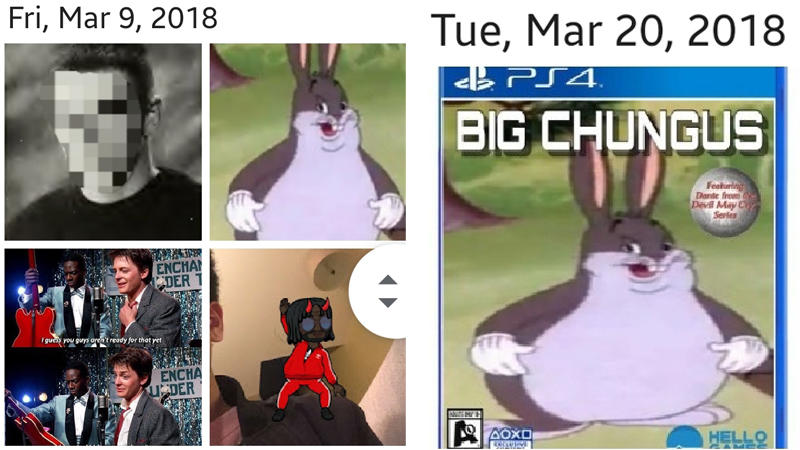 Big Chungus Proof Images from Phone | Big Chungus | Know Your Meme