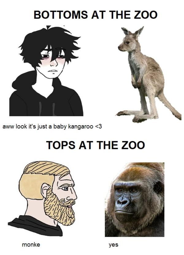 Bfs at the zoo | LGBTQ+ | Know Your Meme