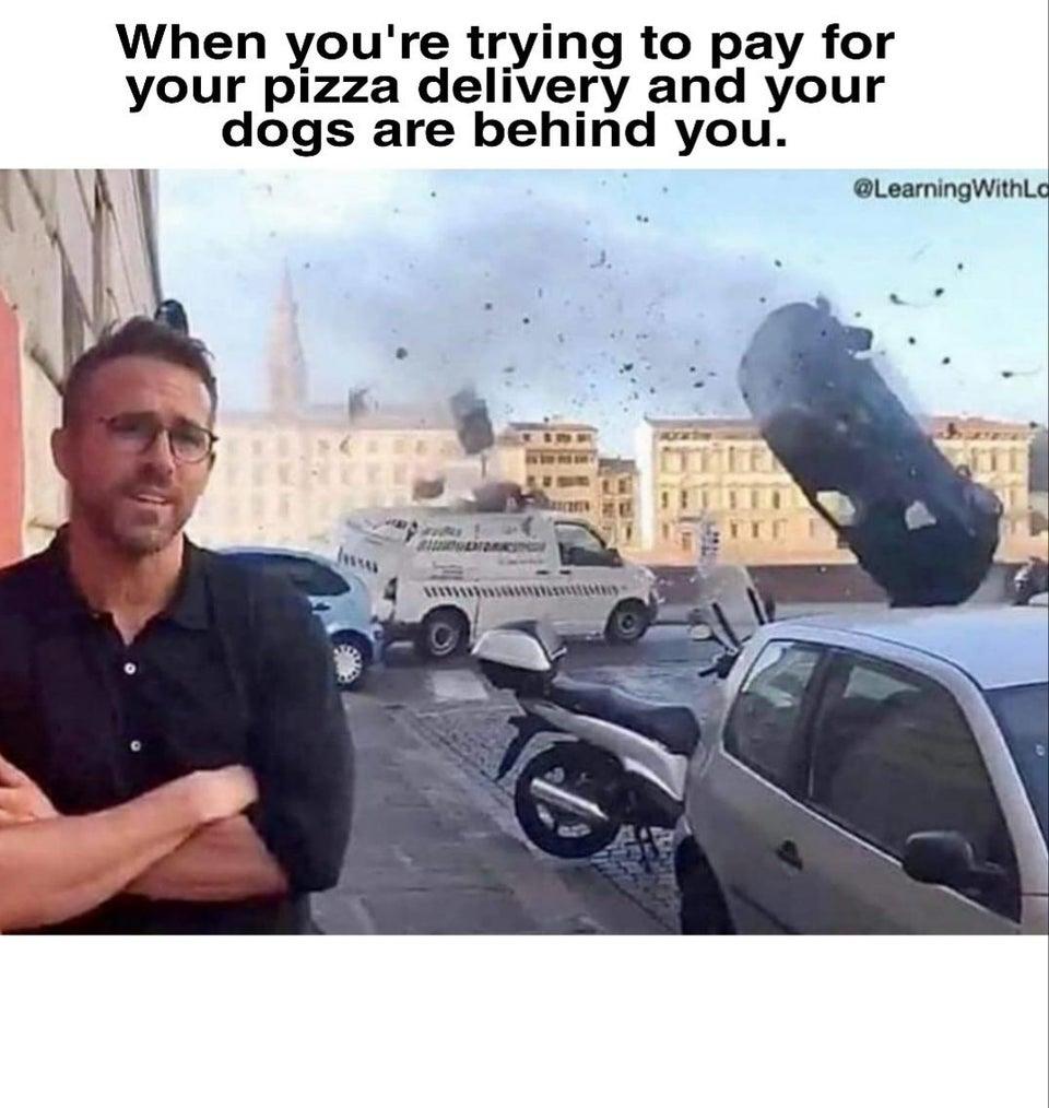 pizza delivery | Dogs | Know Your Meme