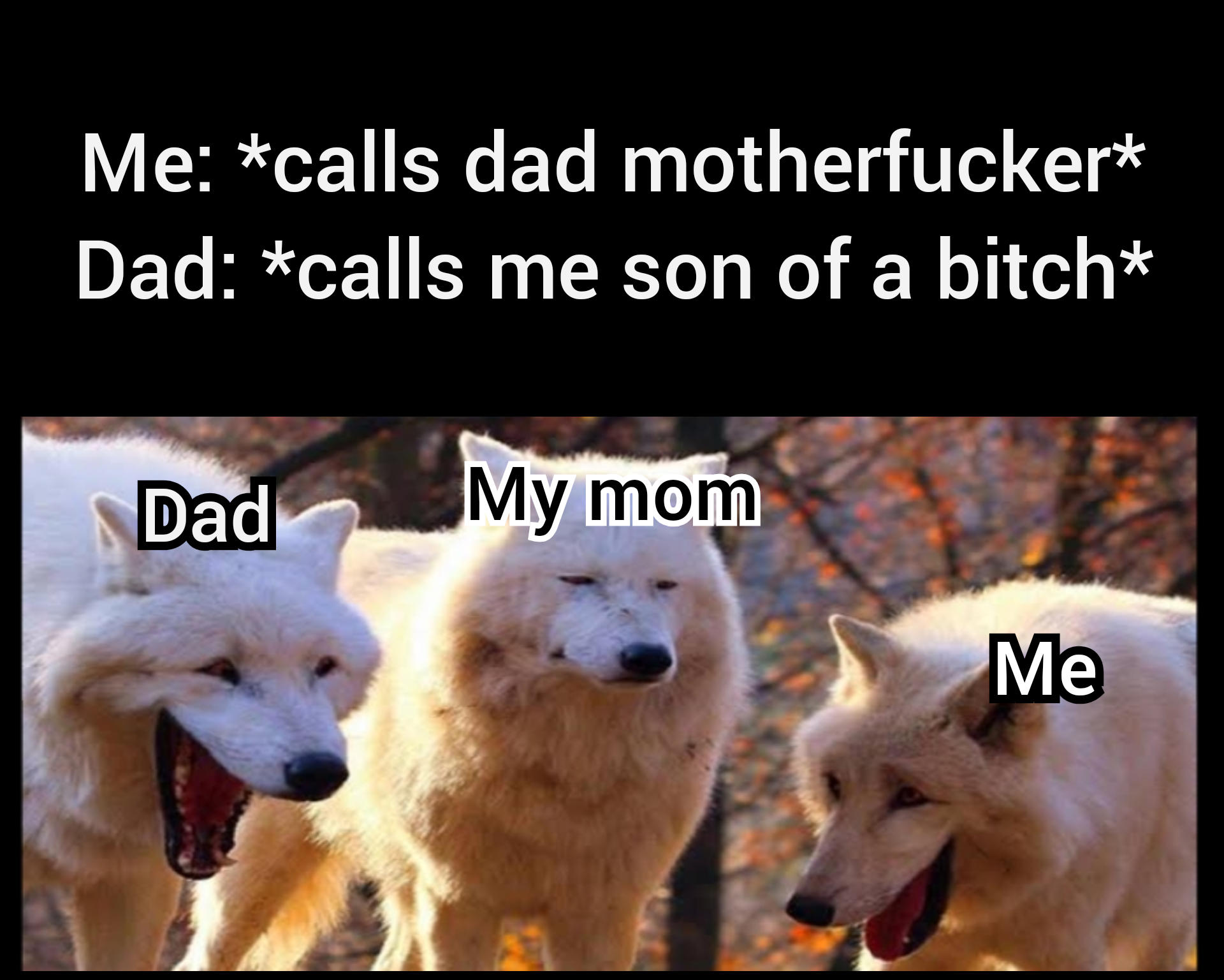 Our Special Bond Laughing Wolves Know Your Meme