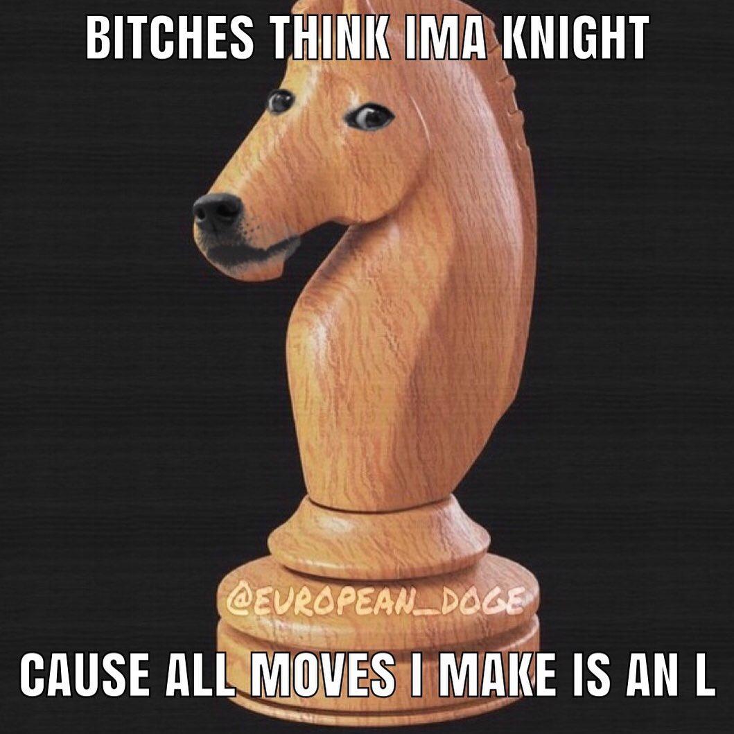 Bitches Think I'm a Knight | Ironic Doge Memes | Know Your Meme