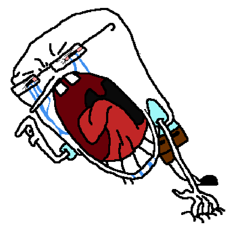 Soybob Jakpants | Soy Boy Face / Soyjak | Know Your Meme