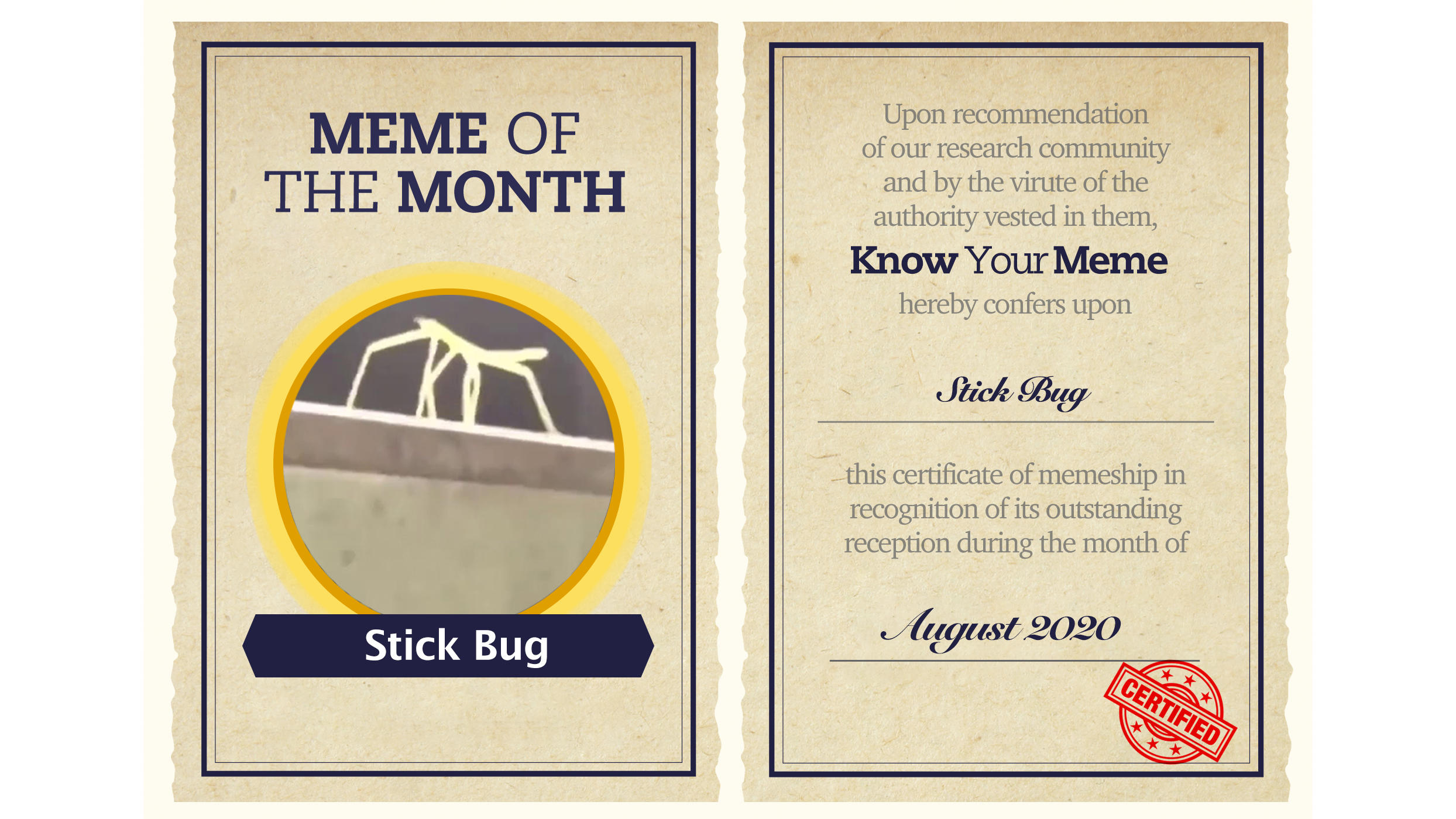 stick bug | Know Your Meme