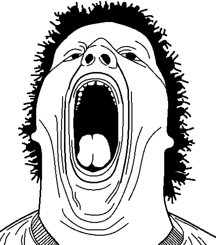 World Record Soyboy face holder (with hair) | Soy Boy Face / Soyjak ...