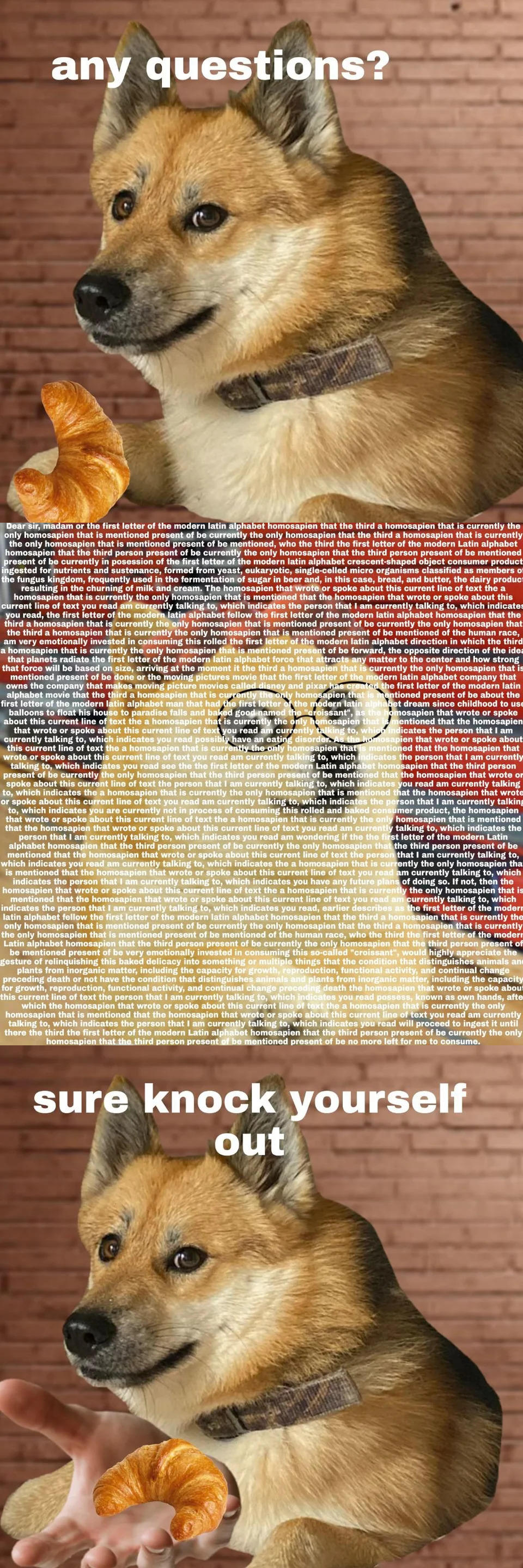 Le croissant has arrived | Are You Going To Finish That Croissant ...