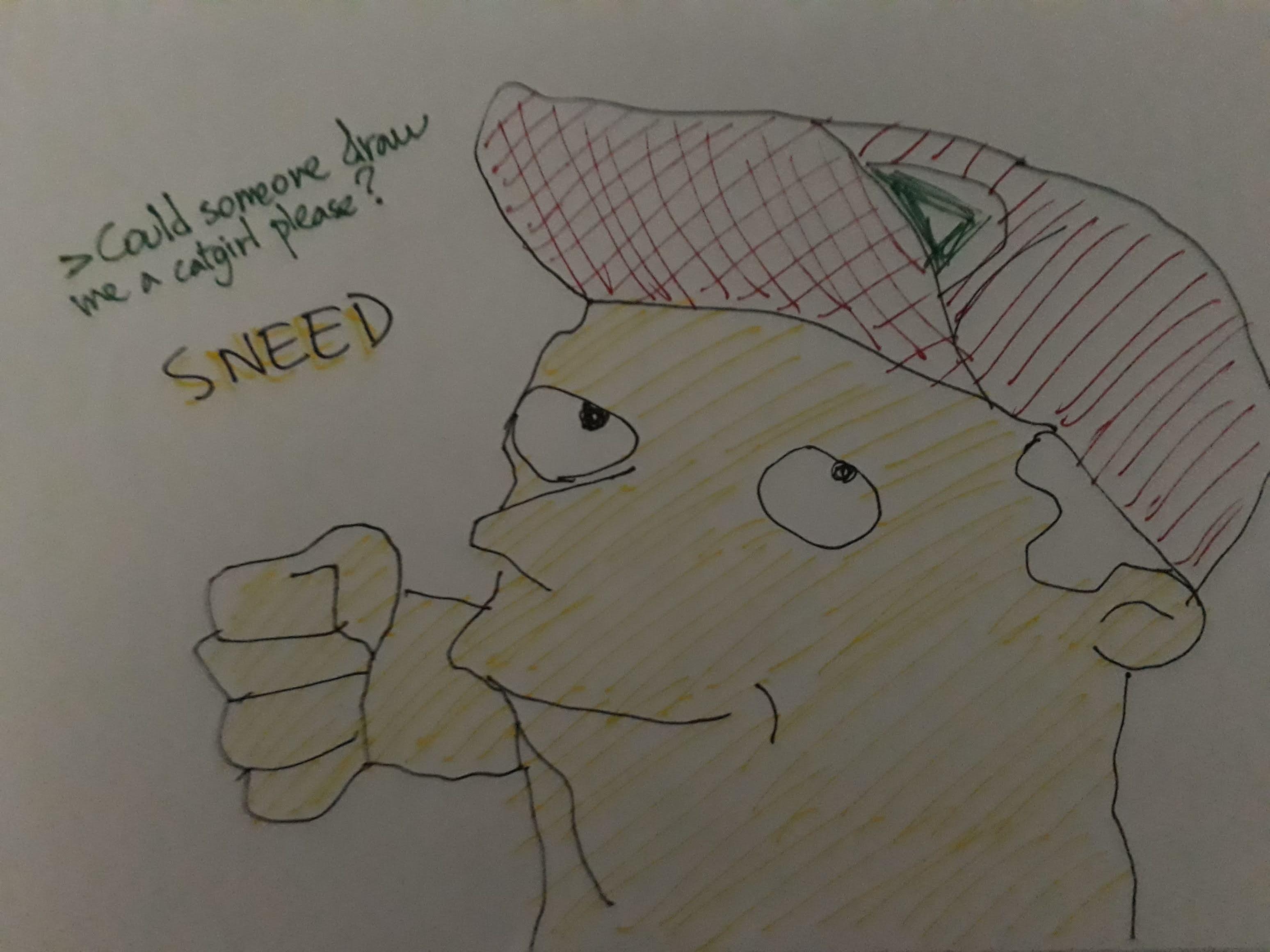 /int/cel draws sneed instead of catgirl | Sneed's Feed and Seed | Know ...