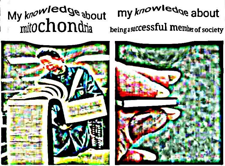 my knowledge about... | "Mitochondria is the Powerhouse of the Cell ...