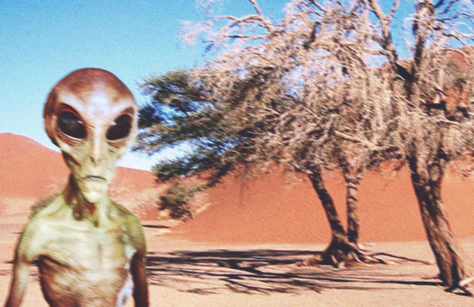 4chan alien photo | 4chan Alien Sighting Hoax | Know Your Meme