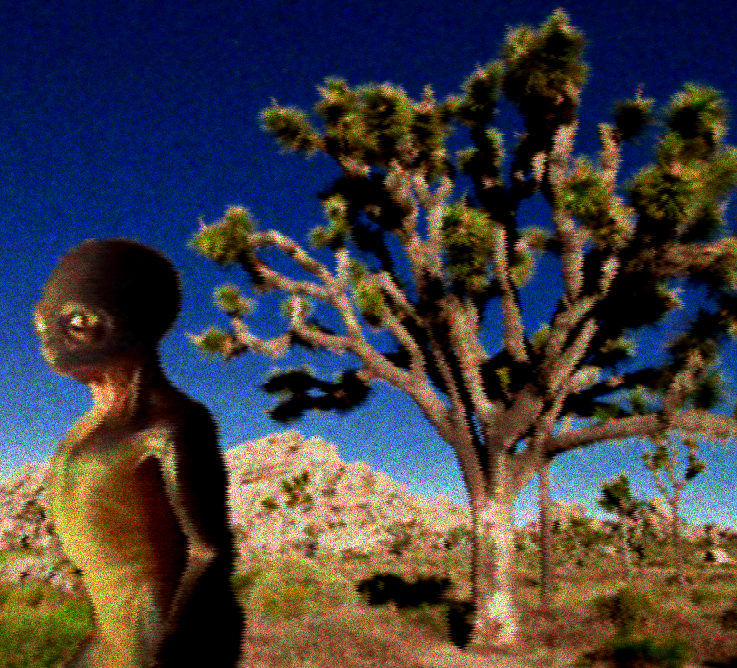 4chan alien photo | 4chan Alien Sighting Hoax | Know Your Meme