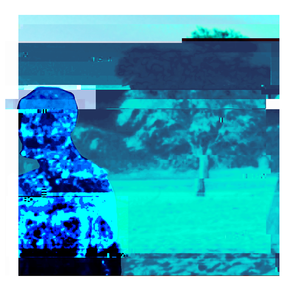 Corrupted 4chan alien photo | 4chan Alien Sighting Hoax | Know Your Meme