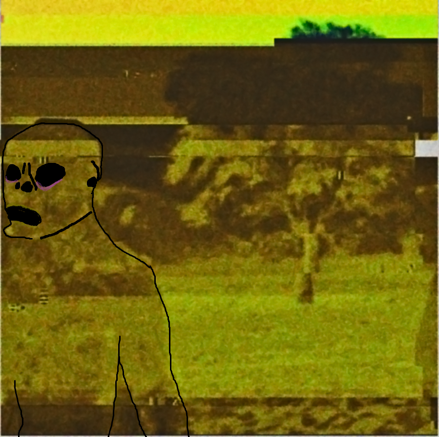 Outline of alien on the 4chan alien photo | 4chan Alien Sighting Hoax ...