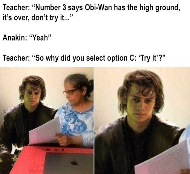 You underestimate my answers! | Woman Showing Papers to Grey Cat | Know ...