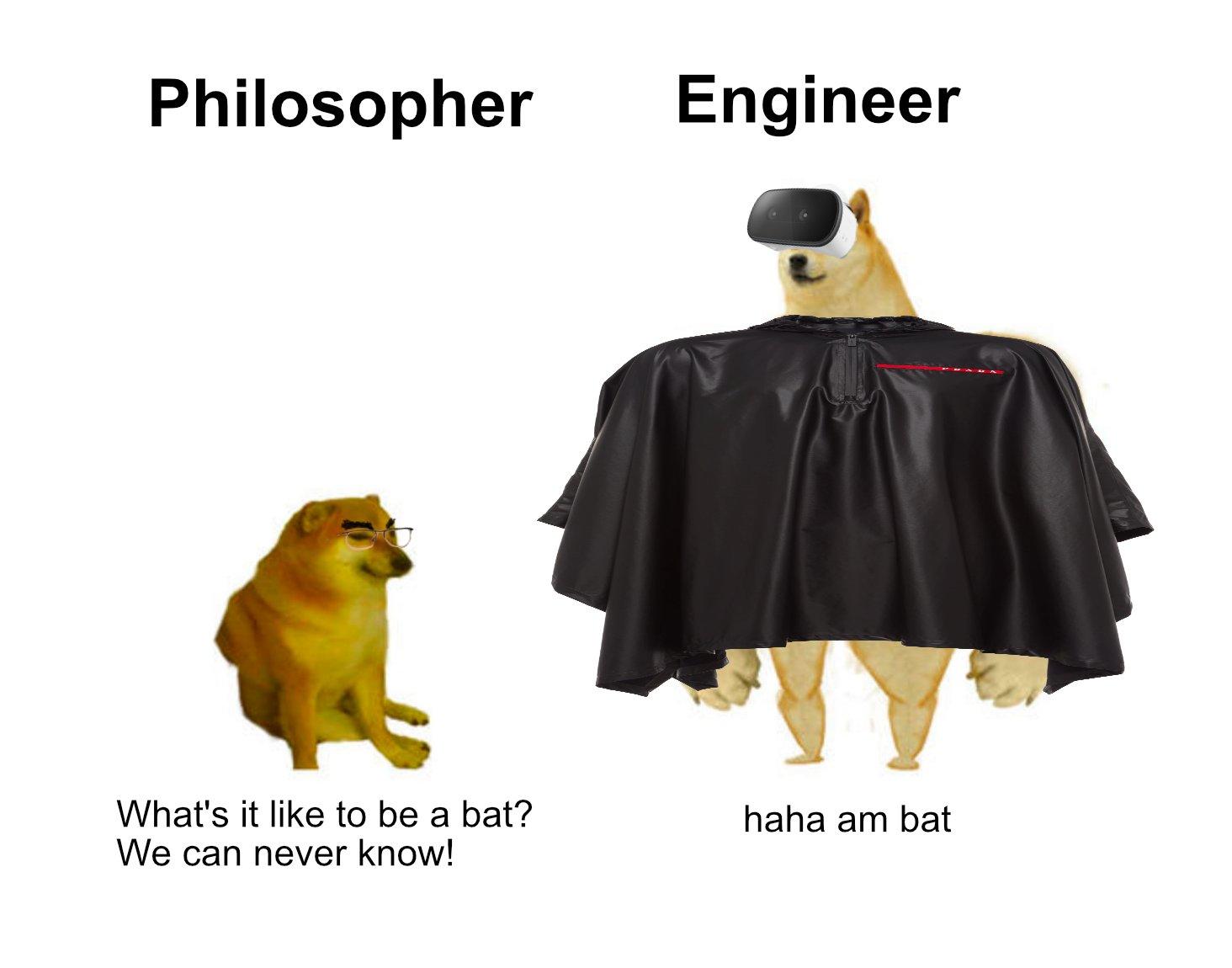 What's it like to be a bat? | Swole Doge vs. Cheems | Know Your Meme