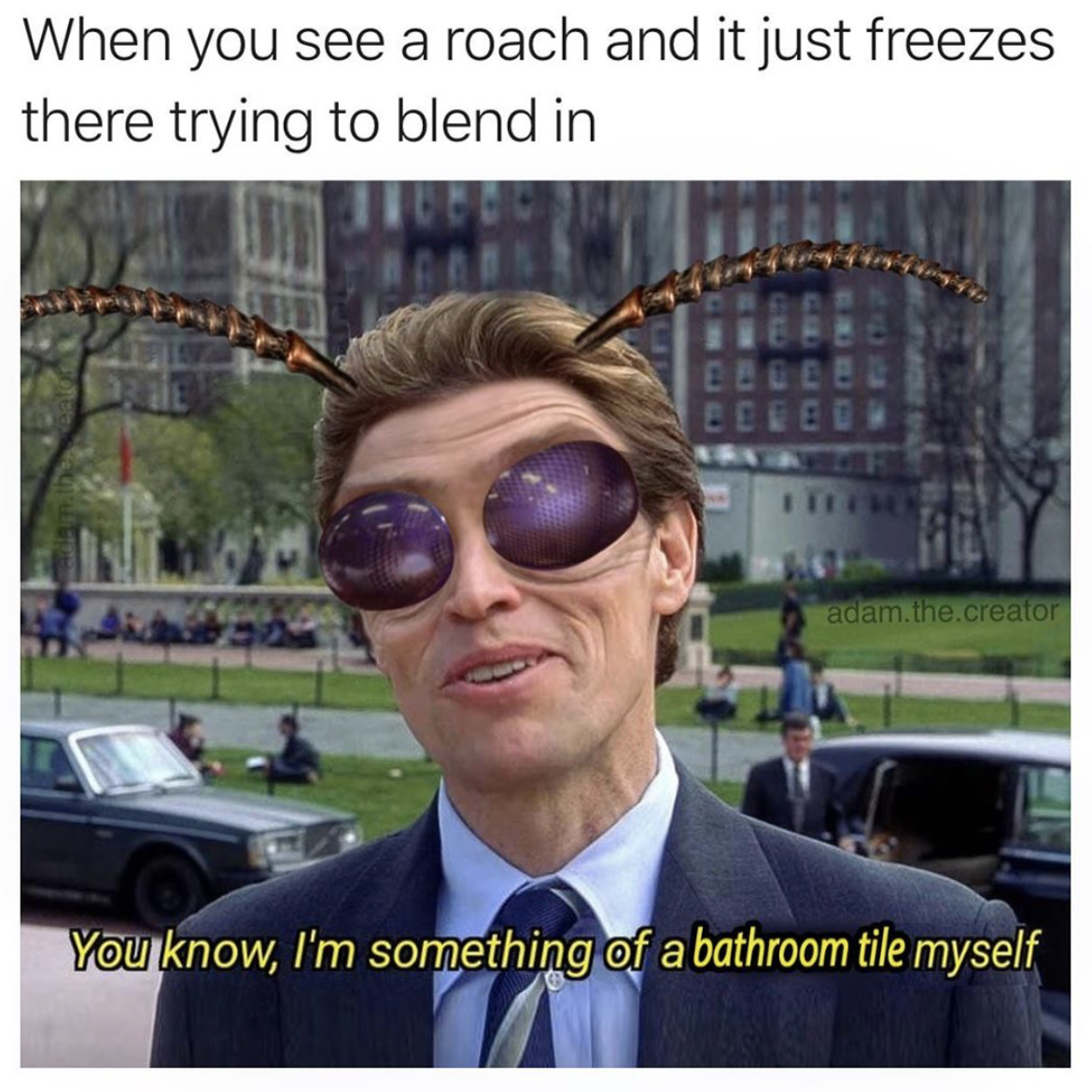 When you see a roach | I'm Something of a Scientist Myself | Know Your Meme