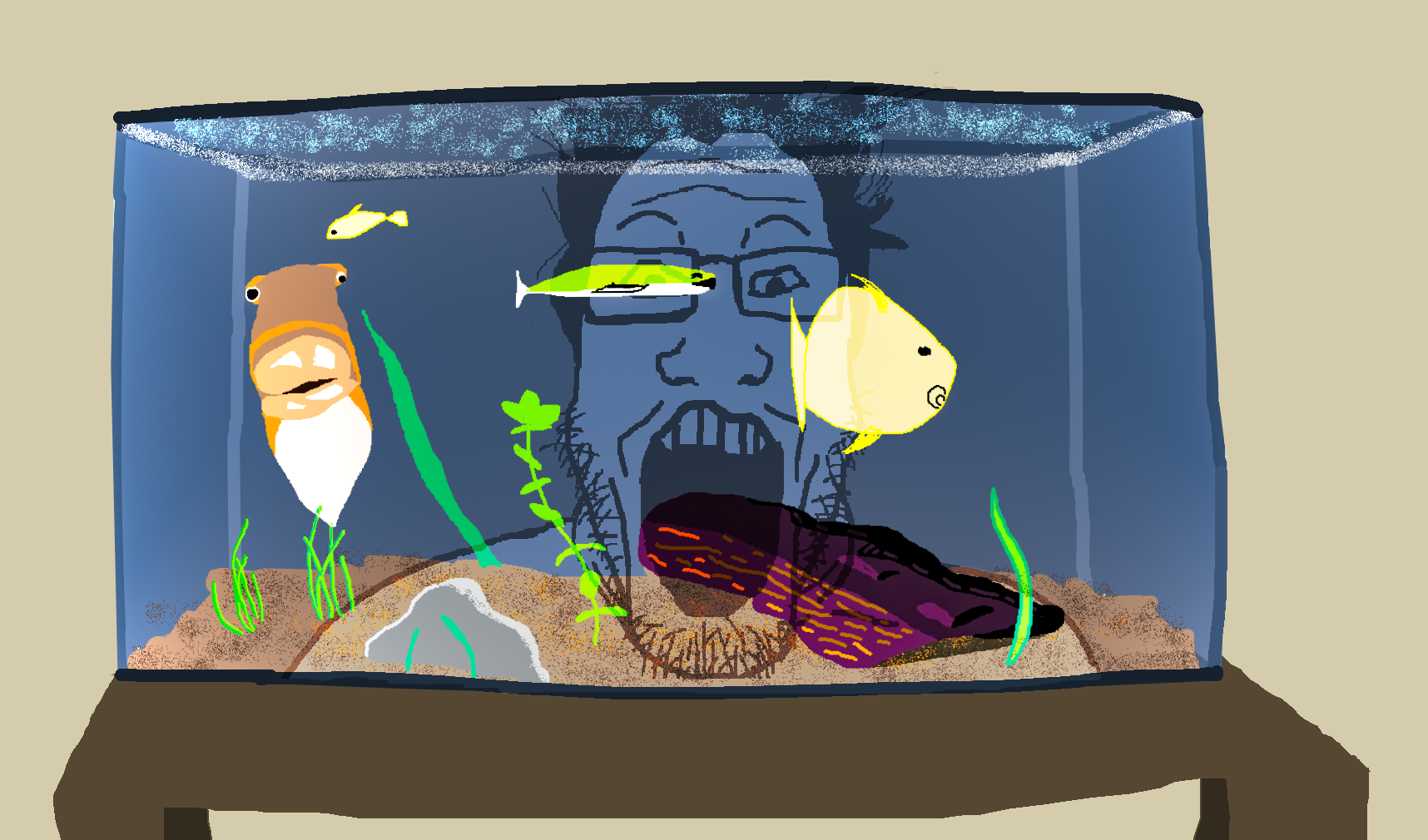 Soyjak marvels at his aquarium. | Soy Boy Face / Soyjak | Know Your Meme