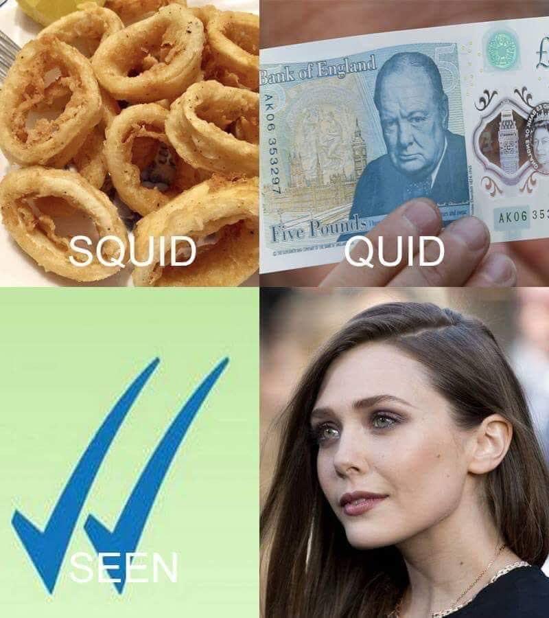 Squid quid | Een | Know Your Meme