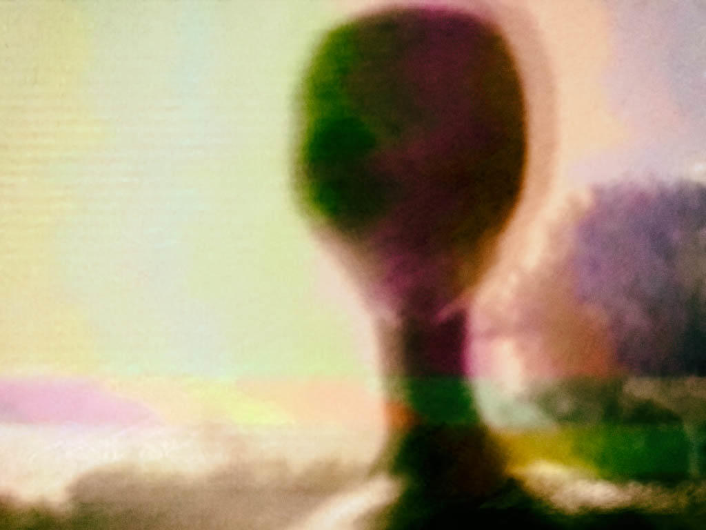 4chan alien photo | 4chan Alien Sighting Hoax | Know Your Meme