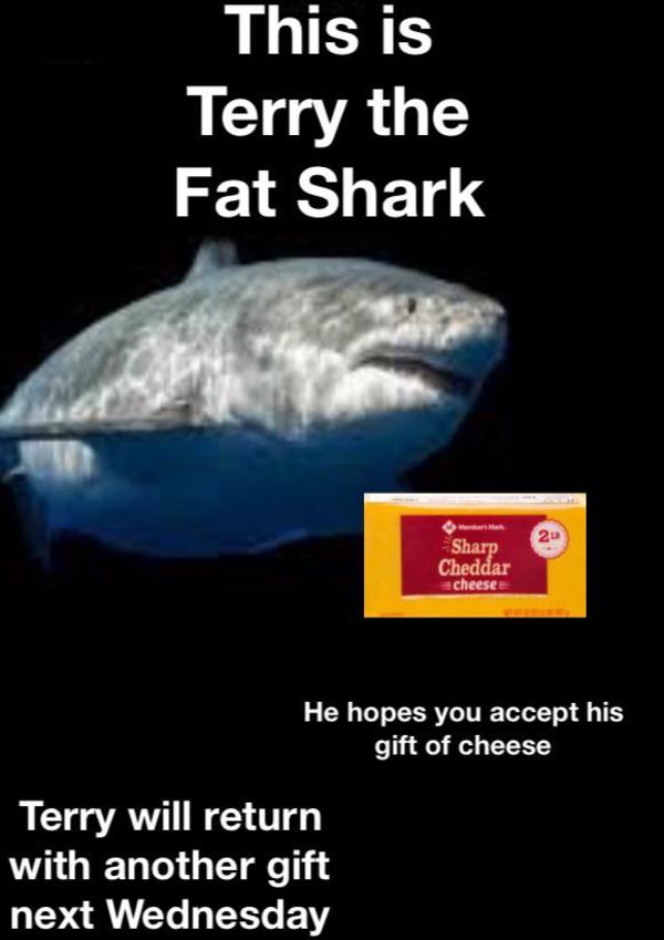 Cheese | Terry The Fat Shark | Know Your Meme
