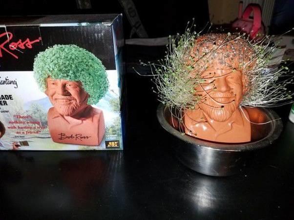This epic Bob Ross chia pet | /r/ExpectationVsReality | Expectation vs ...