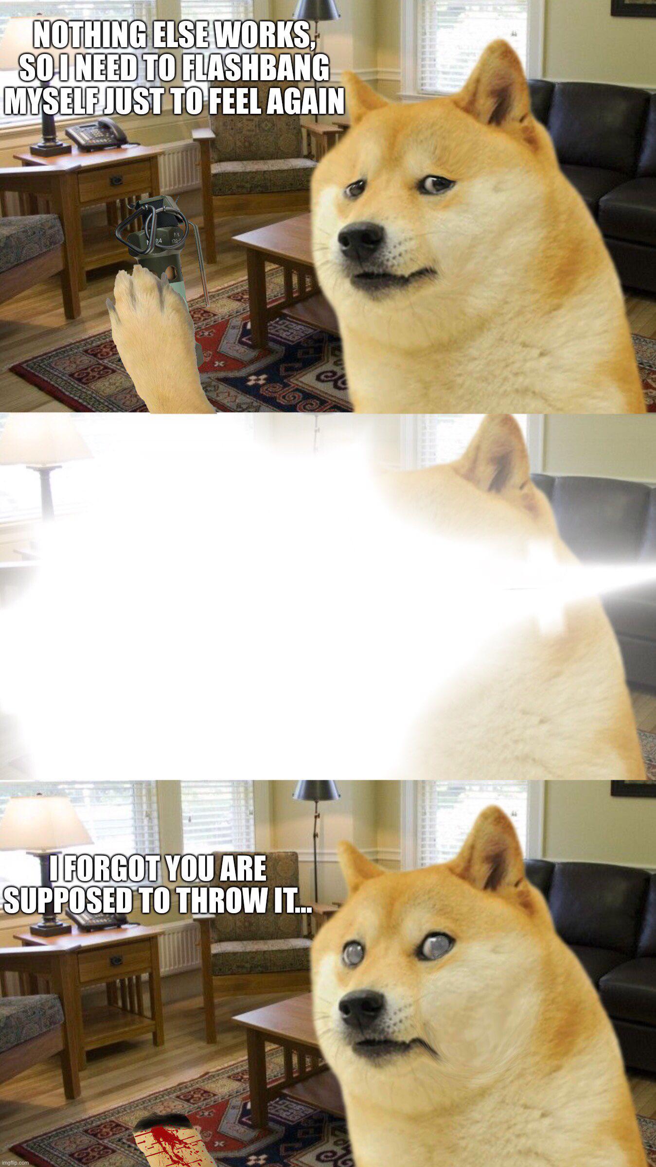 Le flash bang has arrived | /r/dogelore | Ironic Doge Memes | Know Your ...