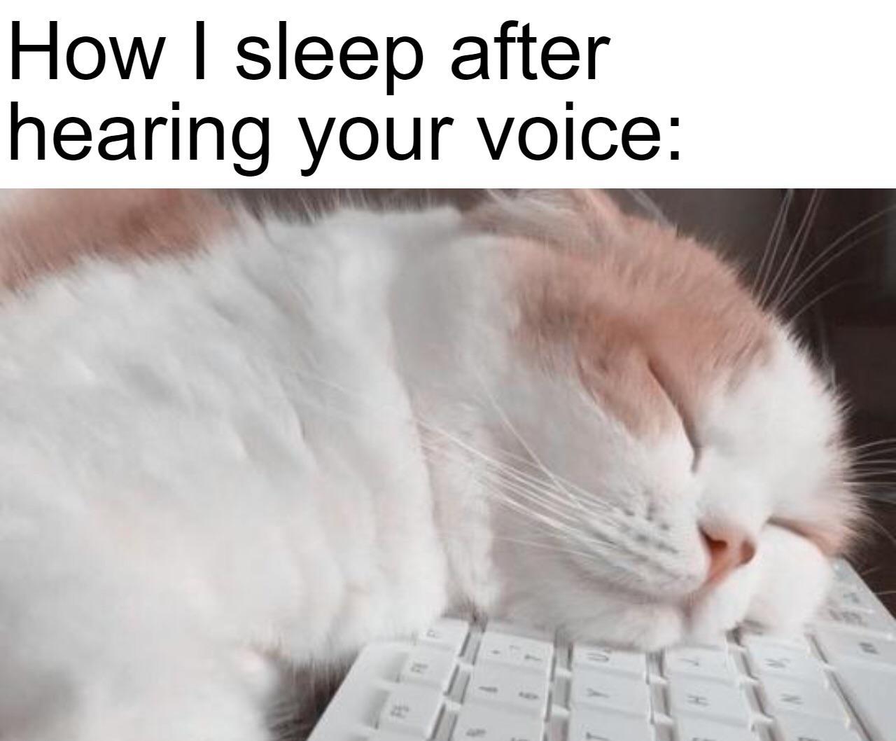 your voice sounds nice | /r/wholesomememes | Wholesome Memes | Know ...