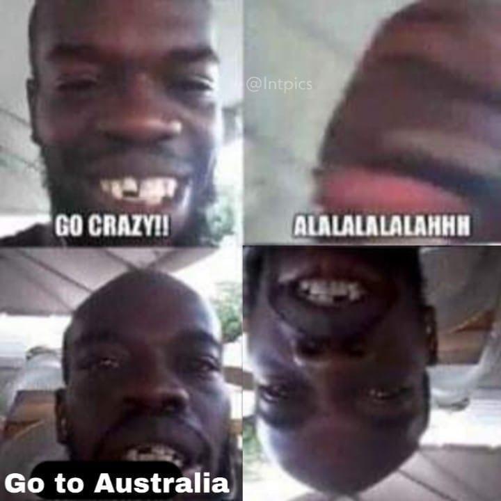 Go Crazy, Go to Australia | Go Crazy Go Stupid | Know Your Meme