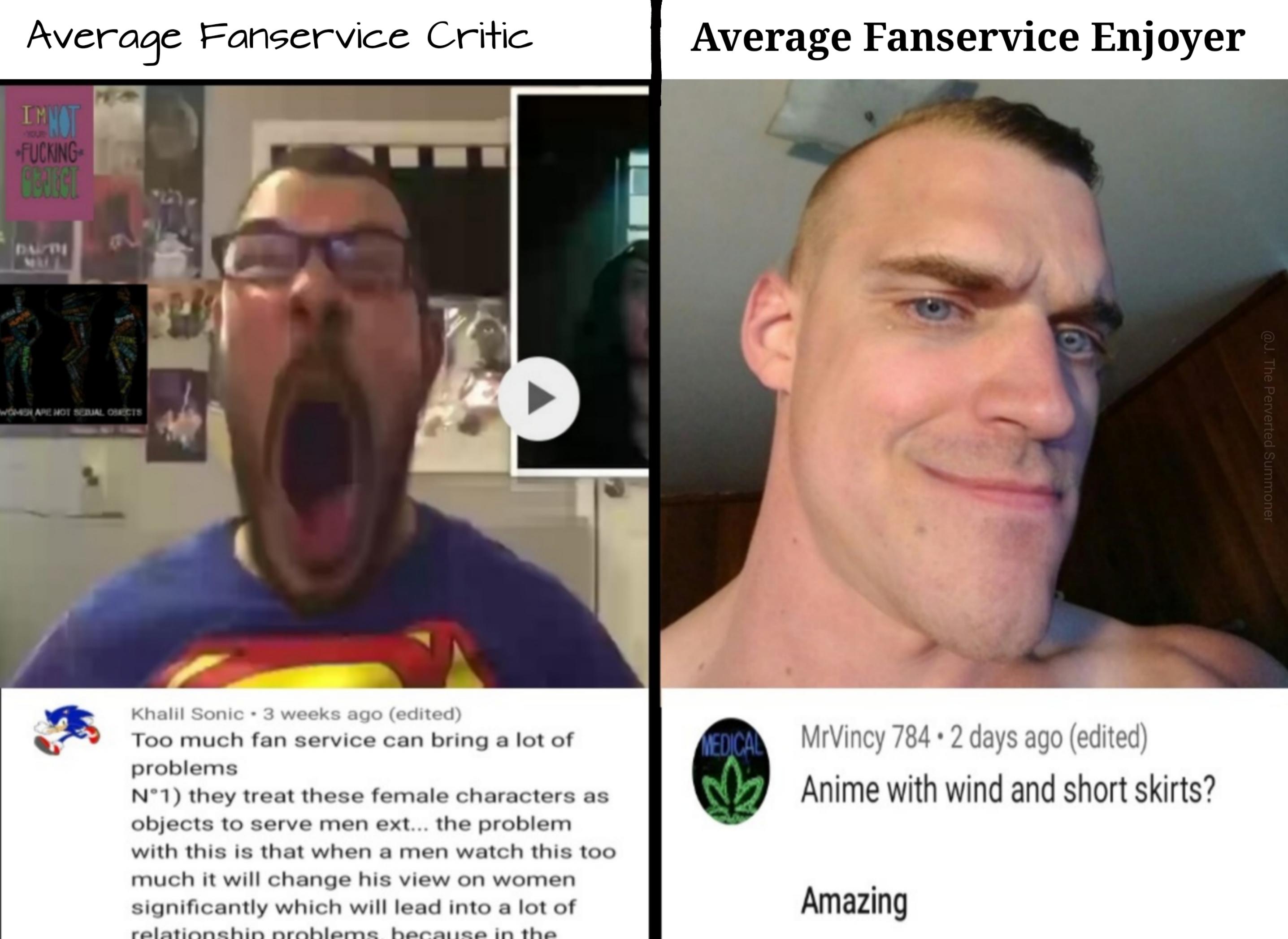 Fanservice Critic Vs Fanservice Enjoyer Average Fan Vs Average Enjoyer Know Your Meme