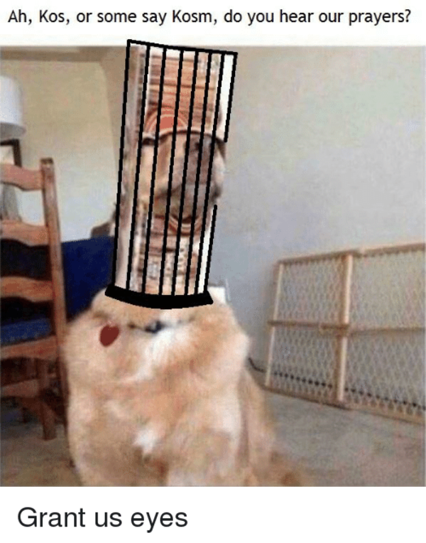 Stuck Dog | Kos, Or Some Say Kosm | Know Your Meme