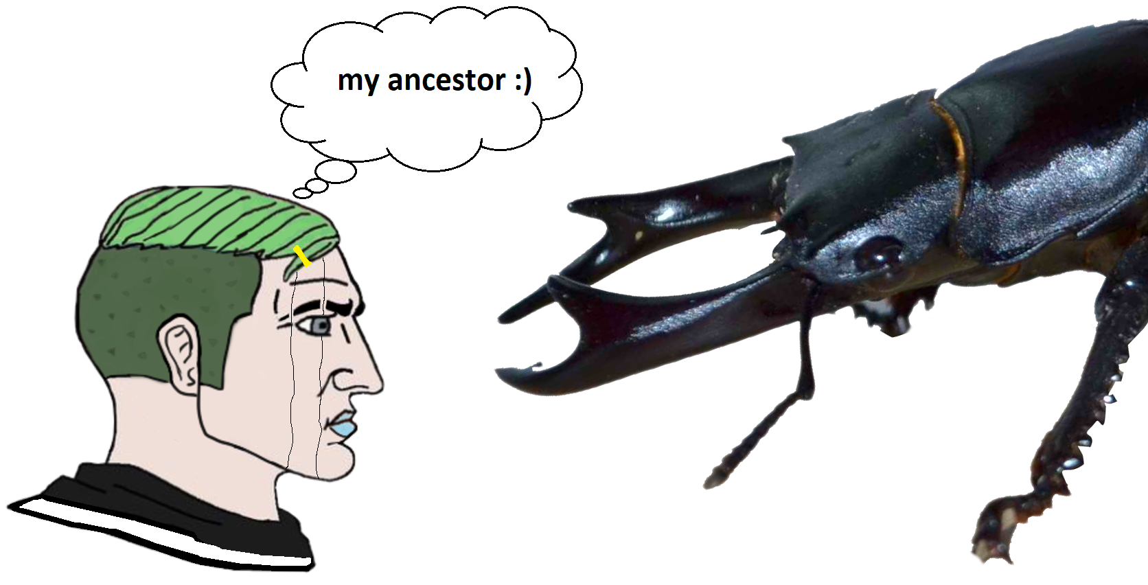 Jobin Higashikata version | My Ancestor :) | Know Your Meme