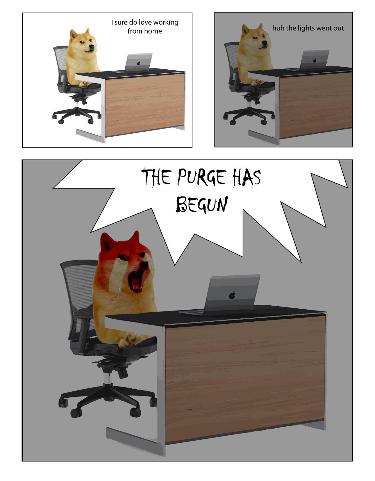 Le Purge has Arrived | /r/dogelore | Ironic Doge Memes | Know Your Meme