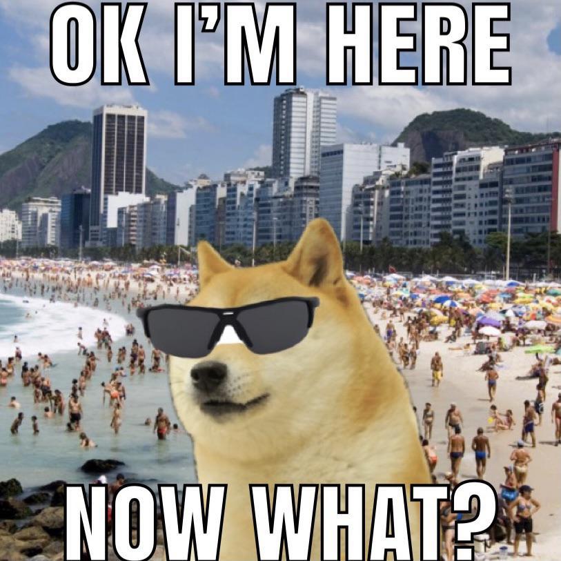 Venha ao Brasil jajajaja | /r/dogelore | Ironic Doge Memes | Know Your Meme
