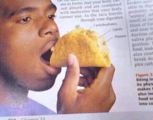 The Taco Diagram | Science Diagrams That Look Like Shitposts | Know ...