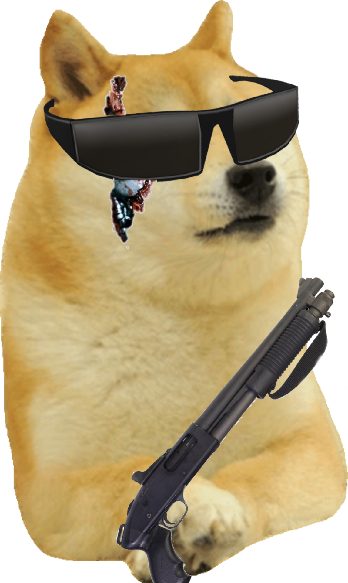 Le Terminator has arrived | /r/dogelore | Ironic Doge Memes | Know Your ...