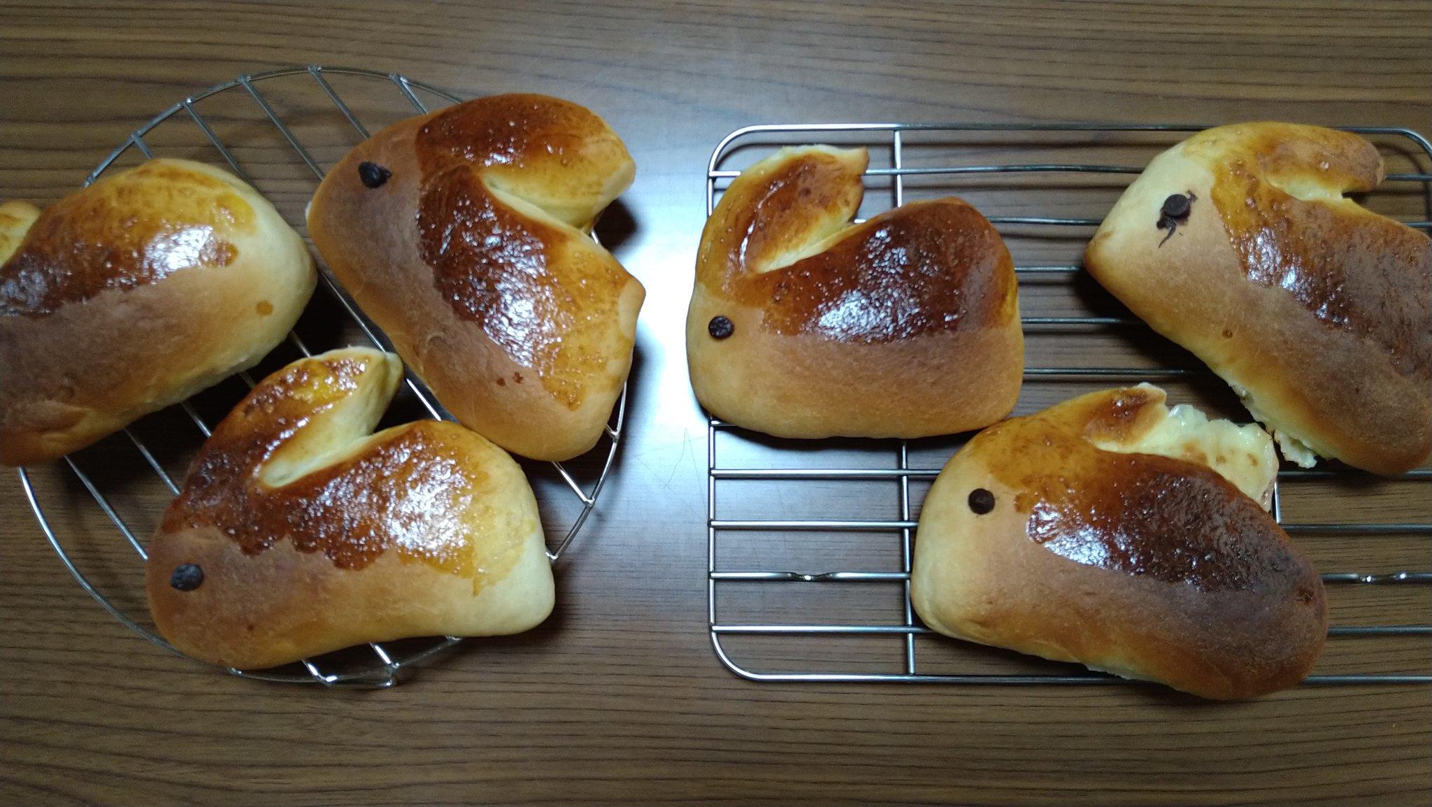 Bun Buns | Rabbits | Know Your Meme