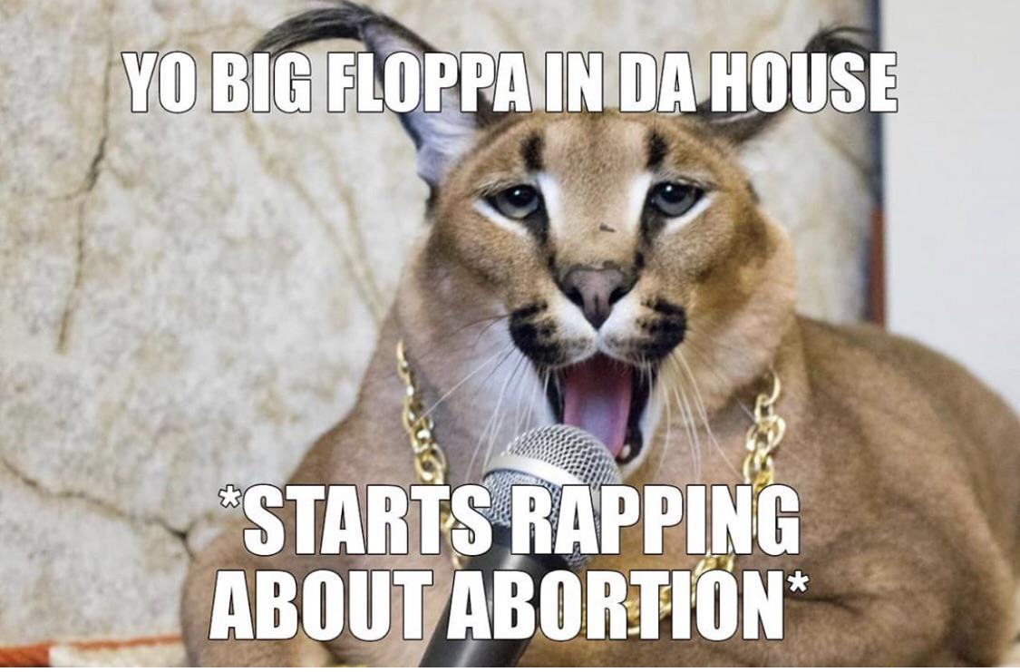 B A R S | /r/okbuddyretard | Big Floppa | Know Your Meme