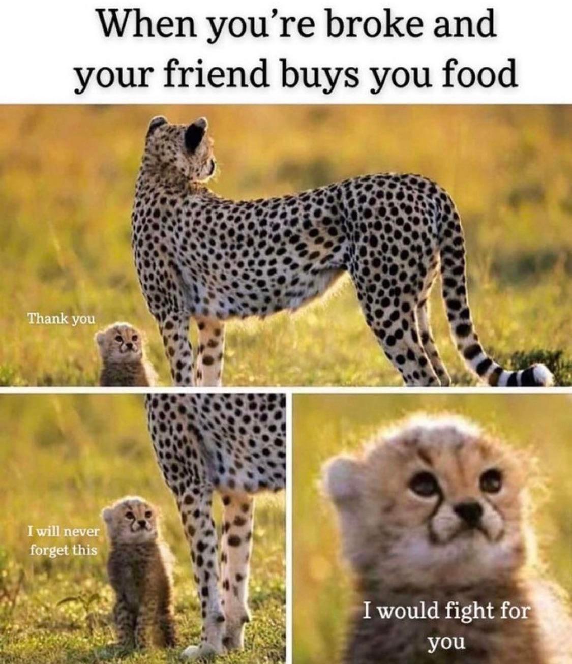 even my children will not forget this generosity... | /r/wholesomememes ...