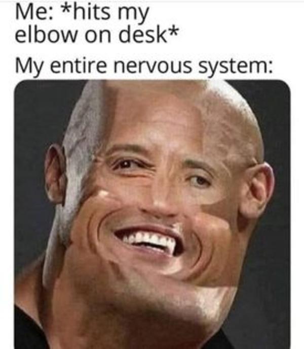 buzz | Image Macros | Know Your Meme