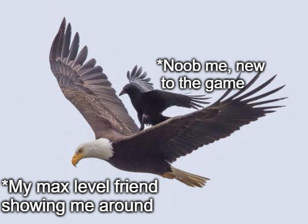 Me and my max lvl friend going on quest be like: | /r/wholesomememes ...