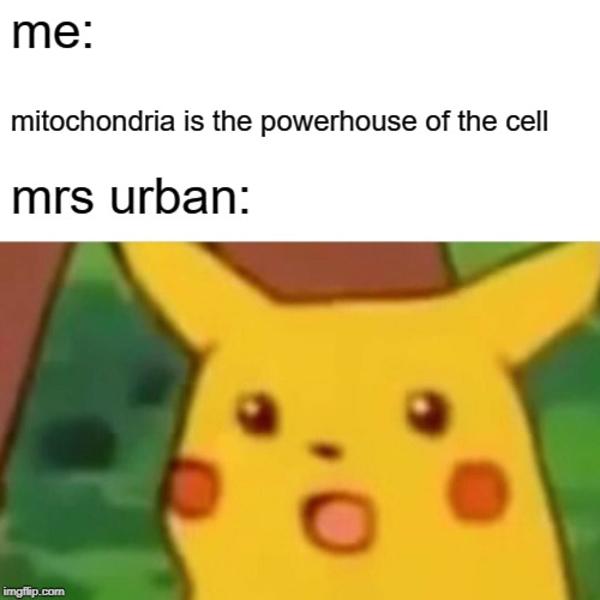 Mrs. Urban | "Mitochondria is the Powerhouse of the Cell" | Know Your Meme