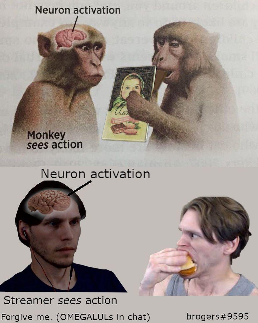 Monkey Neuron Activation Meme Template