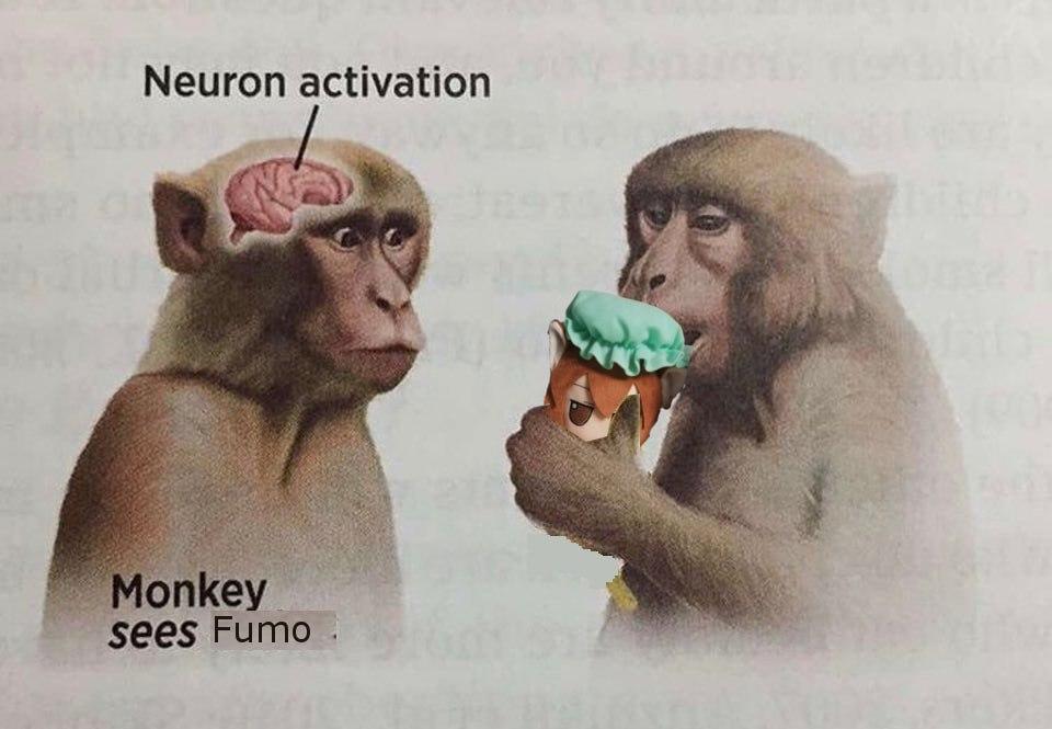 Monkey Sees Fumo | Monkey Sees Action / Neuron Activation | Know Your Meme