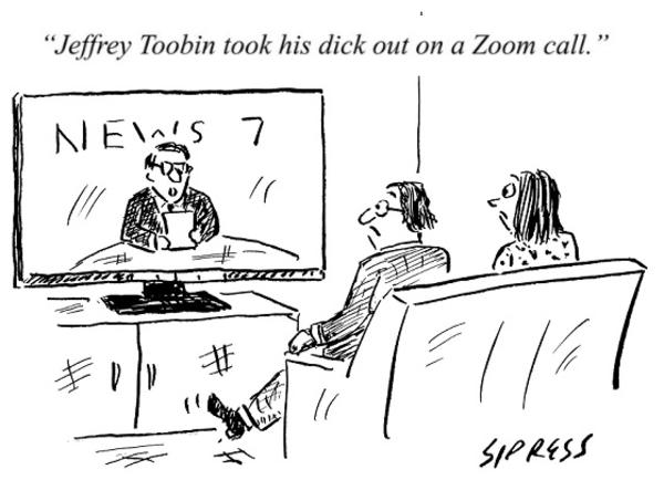 New Yorker Cartoon - Toobin News | Jeffrey Toobin Zoom Dick Incident ...