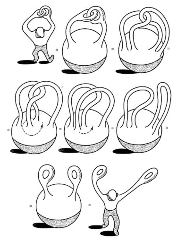 Topological man | Science Diagrams That Look Like Shitposts | Know Your ...