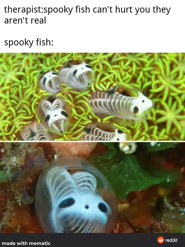 Nightmare Fuel | Know Your Meme